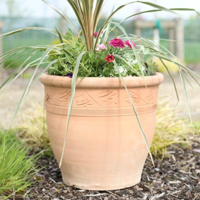 Terracotta Pottery | Hand Thrown Bowl Planters | Mims Pottery