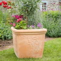 Terracotta Pottery | Hand Thrown Bowl Planters | Mims Pottery