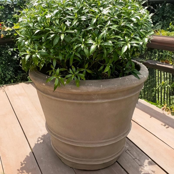Terracotta Pottery | Hand Thrown Bowl Planters | Mims Pottery